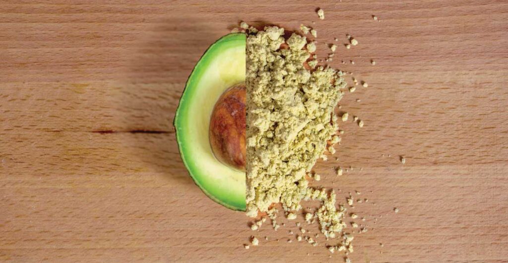 Avocado Powder - Commercial Creamery Company